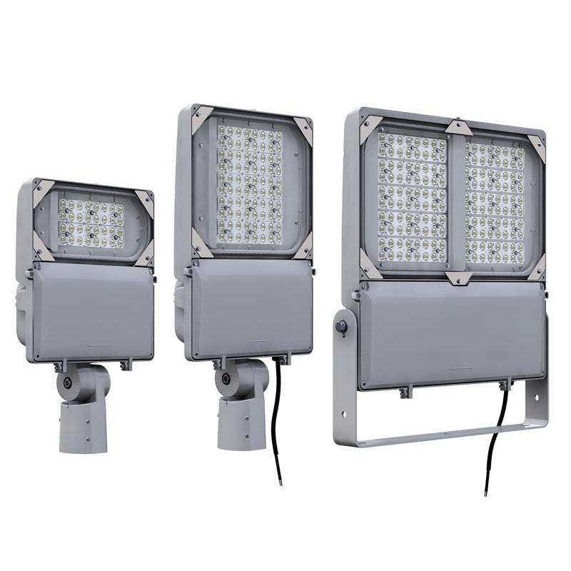 Gardco Lighting FLDL DuraForm Large LED Floodlight | Seginuslighting.com