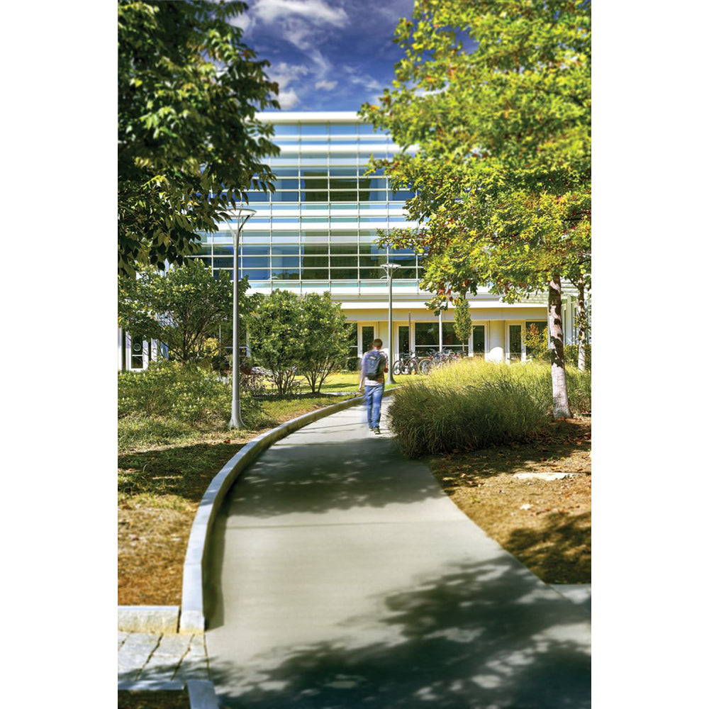 Invue Lighting ARB Arbor Post Top Post Lighting | SeginusLighting.com