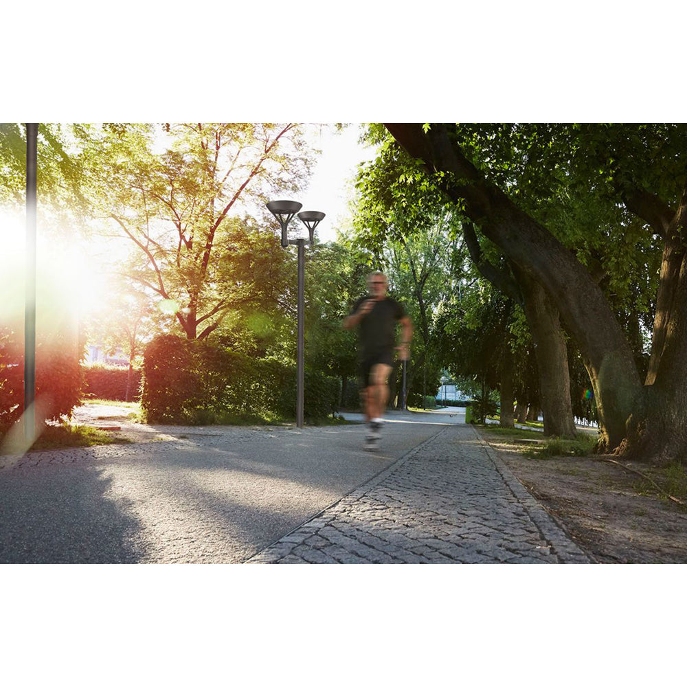 Invue Lighting MSA Mesa LED Post Lighting | SeginusLighting.com